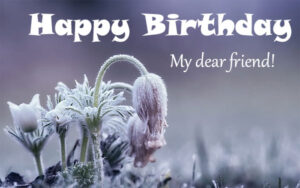 Beautiful Happy Birthday Winter Images and Pics