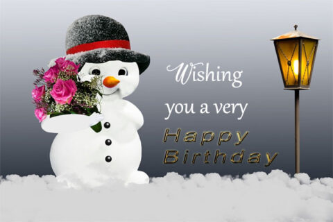 Beautiful Happy Birthday Winter Images and Pics