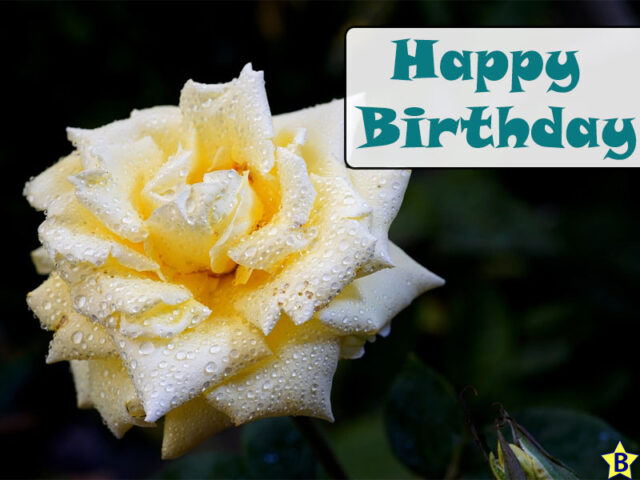 20+ Happy Birthday Yellow Roses Images And Pics