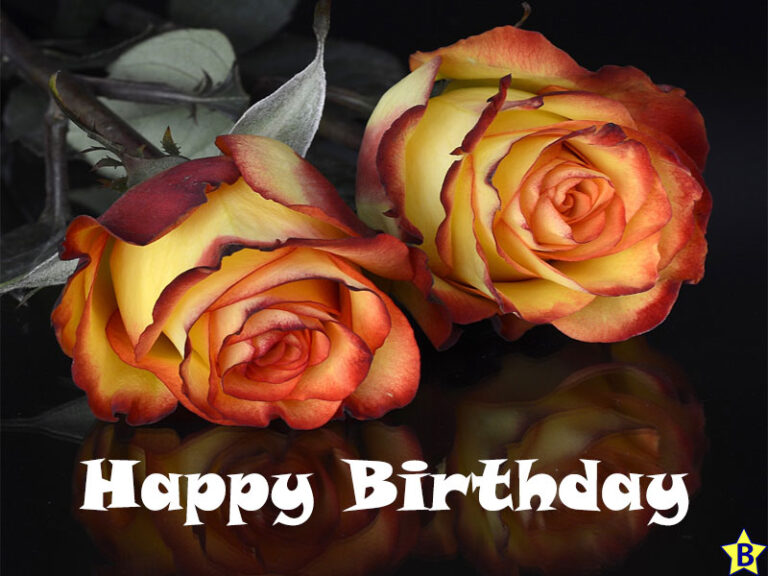 20+ Happy Birthday Yellow Roses Images And Pics