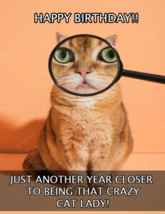 22 Most Funny Happy Birthday Cat Meme To Make You laugh