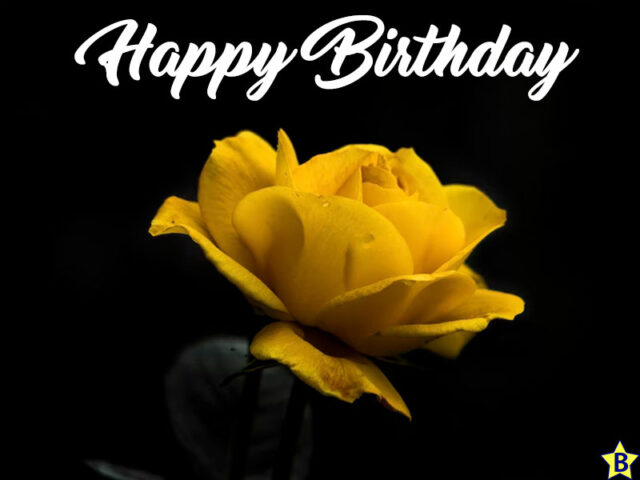 20+ Happy Birthday Yellow Roses Images And Pics