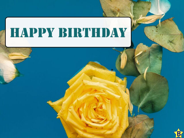 20+ Happy Birthday Yellow Roses Images And Pics